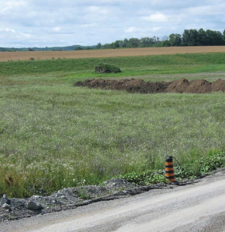 Walker Aggregates’ Meaford Quarry Receives Progressive Rehabilitation ...