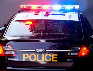 OPP Launches ‘Stop. Look. Live.’ Campaign | The Meaford Independent