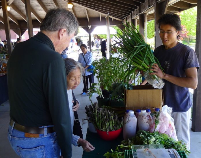 Meaford Farmers’ Market Gearing Up For 2023 Season | The Meaford ...